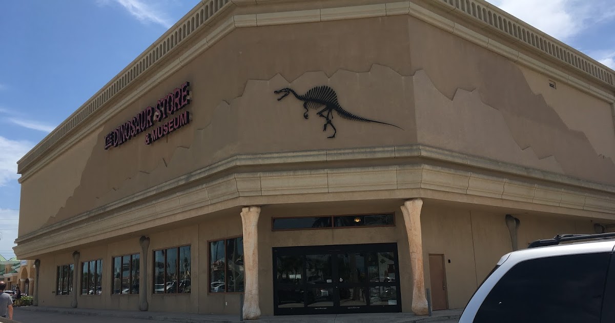 Meet Me in the Gift Shop: Museum of Dinosaurs and Ancient Cultures