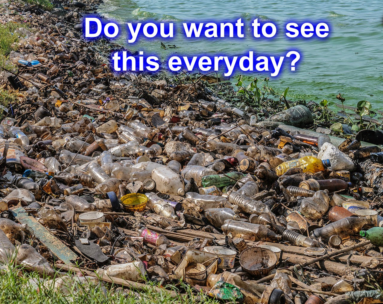 Friendly Living: Water Pollution