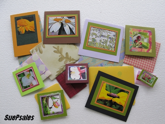 A day in the Life: Greeting Card Collections