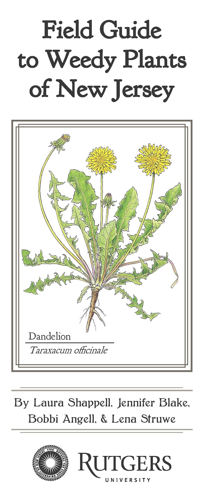 Shappell.Ecology: Weedy Plants of New Jersey