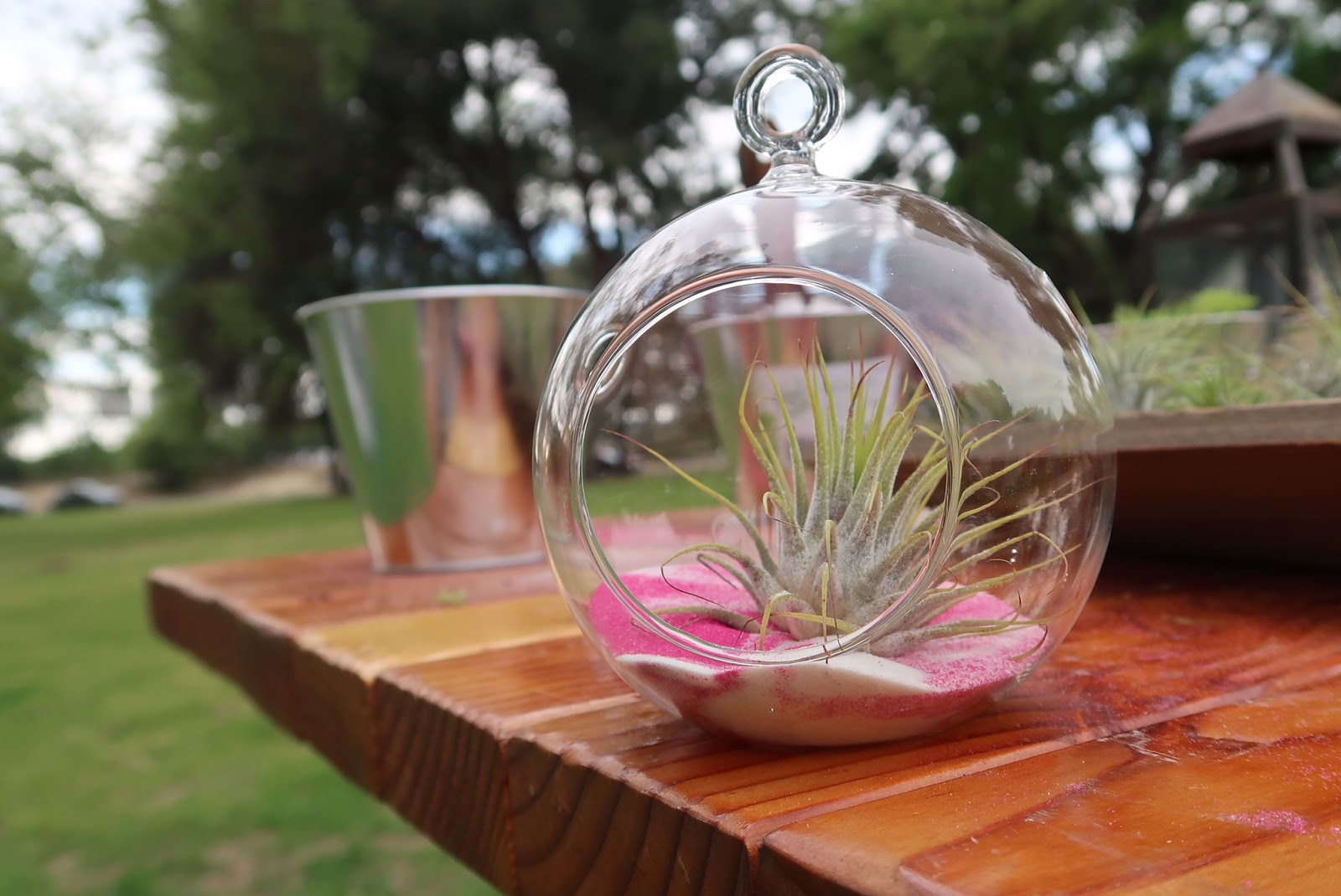 #BloomLA Blossoms in Griffith Park | Happy Mess MOMents