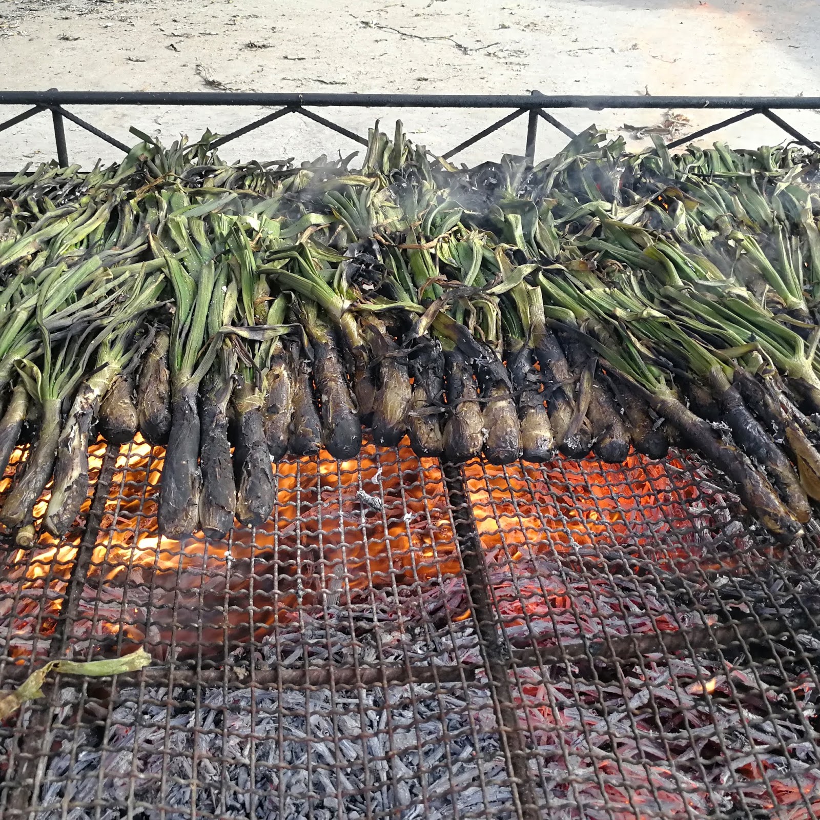 vinotava1: SVILINĀTI KATALĀŅU MAIGIE PAVASARA SĪPOLLOKI (CALÇOTS)