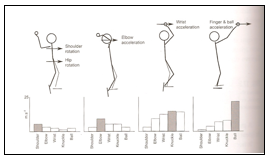 NETBALL PASSES: The biomechanical principles : How can choosing the ...