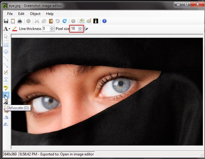 How To Use ::: How to use and optimize greenshot!!