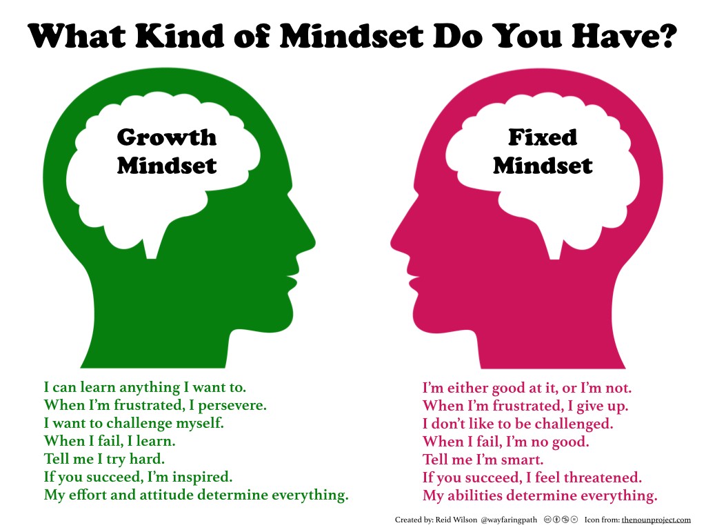 blog de lourdes vicente: What kind of mindset do you have