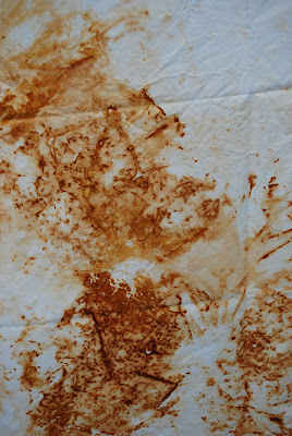 Goat Feathers: Rusting Fabric Again and Stamping using Rit Dye