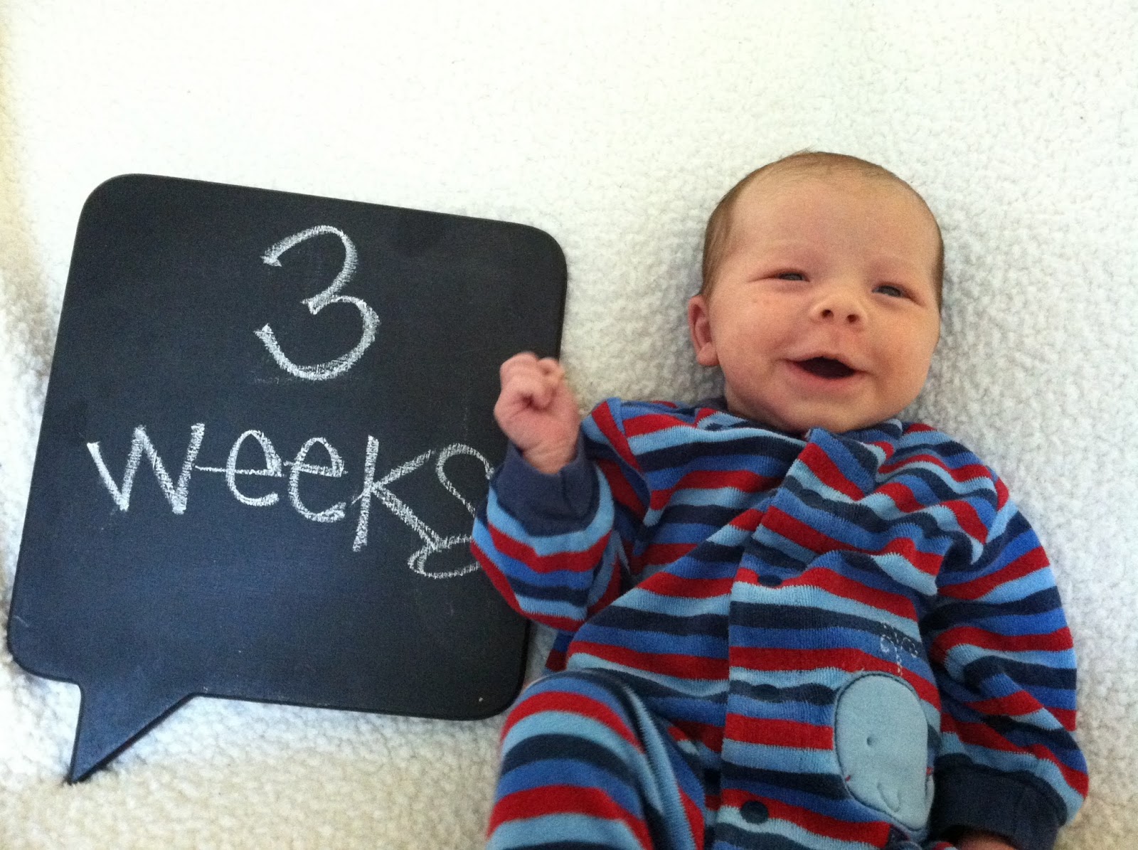 Hauck's Nest: The Many Faces of Max