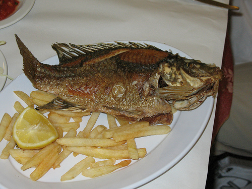 Behind the French Menu: Saint-Pierre, that unique fish. John Dory in ...