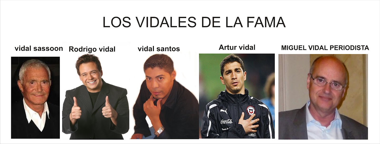 PORTAFOLIO DE VIDAL SANTOS