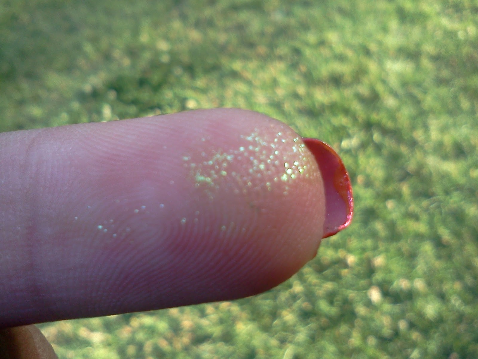 Nail Addict: Funky Fingers: Pixy Dust