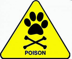 Pets N More: POISON HOTLINES