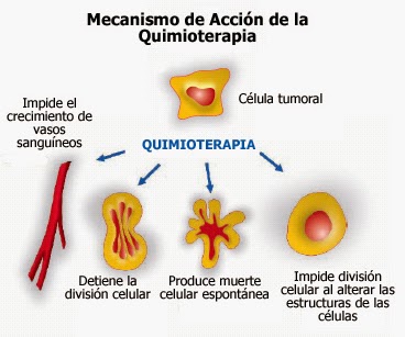 aabbcc: Una nueva quimio aumenta un 31% la remisión del cáncer de mama ...