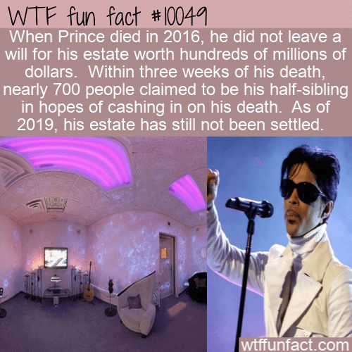 60 Crazy Facts To Truly Blow Your Mind! | Amazing WTF Facts