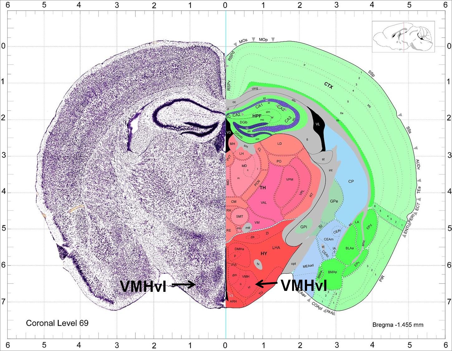 Sinapsis: febrero 2012