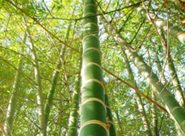 CONSTRUYO MI REALIDAD: Me gustaria ser fuerte y poder con todo sin que ...