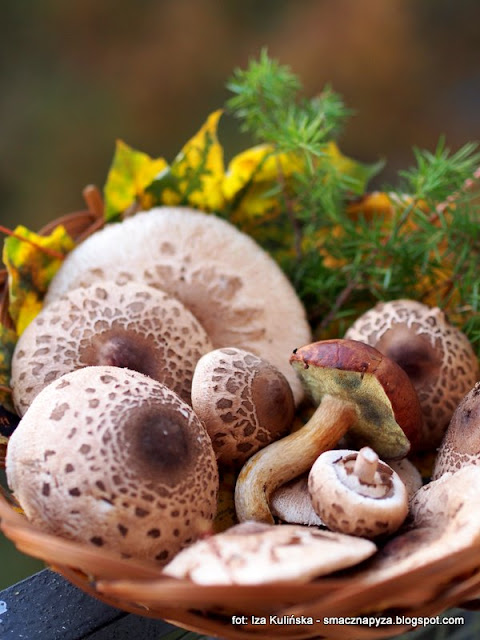 Pyza na tropie złotej polskiej jesieni | Smaczna Pyza