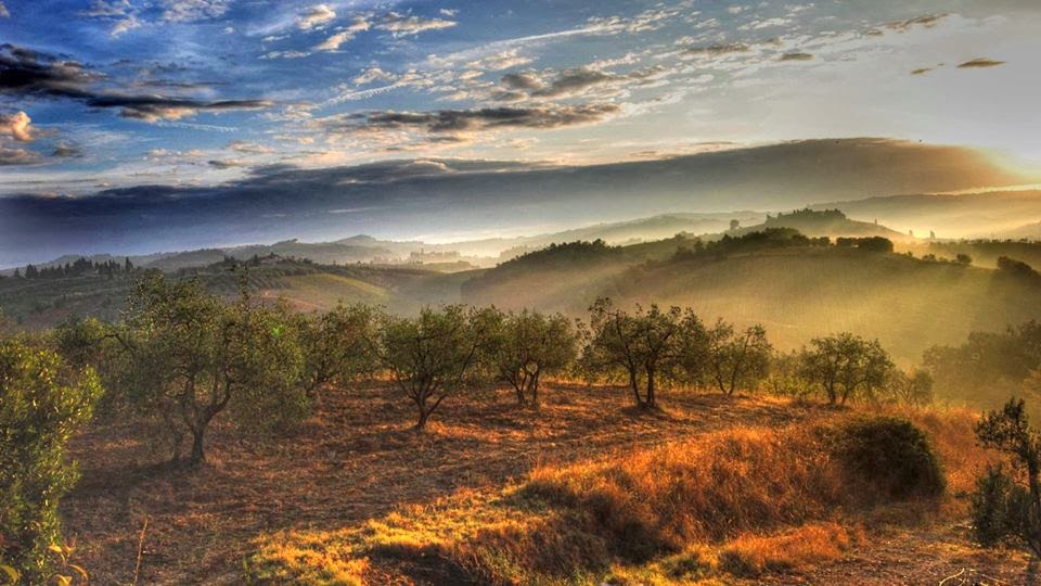 New Tuscan Experience Blog: Why You SHOULD Visit Tuscany in the Fall ...