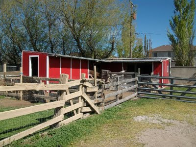 My blahg: Extreme Barn Makeover