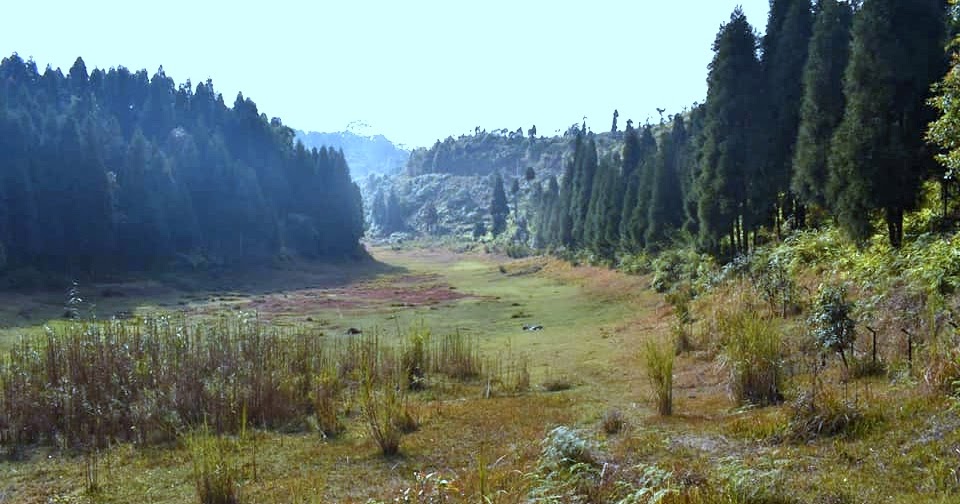 Sittong Travel Experience - Bong Travellers