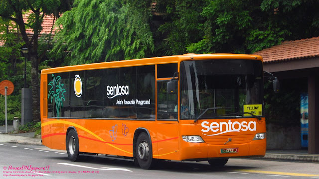 (buses[IN]gapore!): Sentosa buses' new livery!