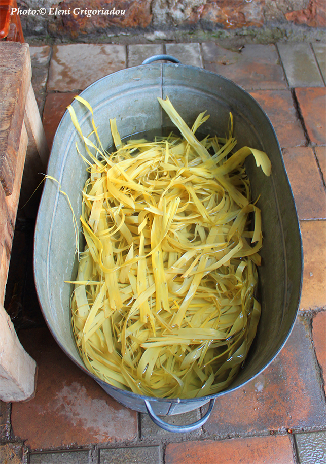 Gallery: Samarkand: the art of handmade paper