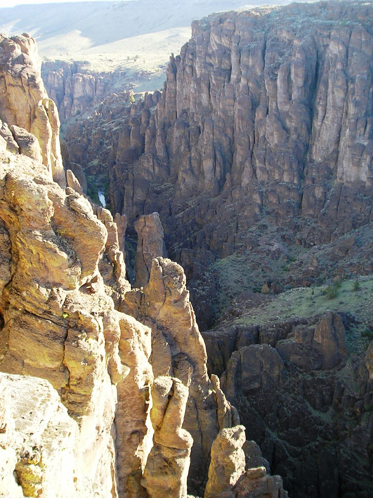Birding Is Fun!: Three Forks of the Owyhee River