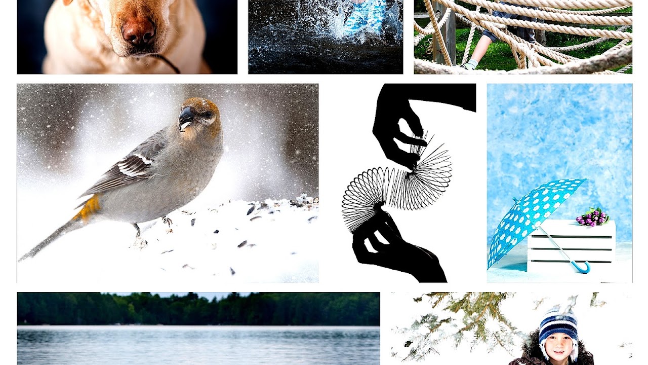 What Is Stock Photography - Photo Choices