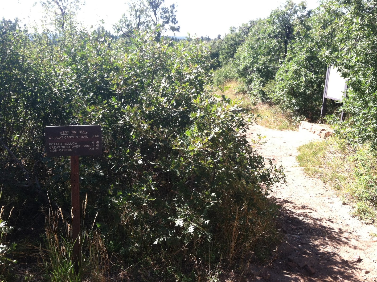 Myatt's Hikes: Lava Point Campground, Zion National Park