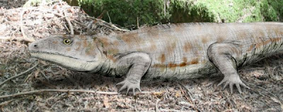 Los animales en la prehistoria: Animales prehistóricos con la letra E