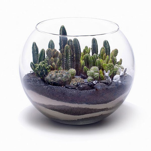 science.style.love: Terrarium Inspiration