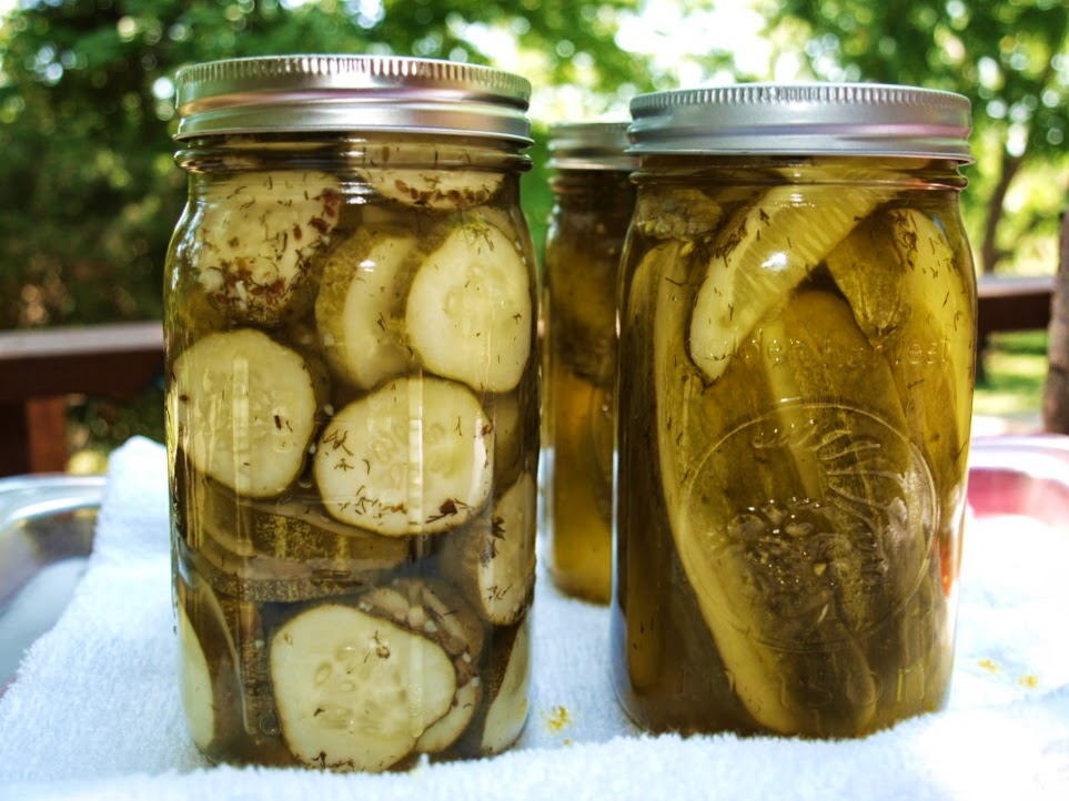 Ohio Thoughts: Cucumbers into Pickles