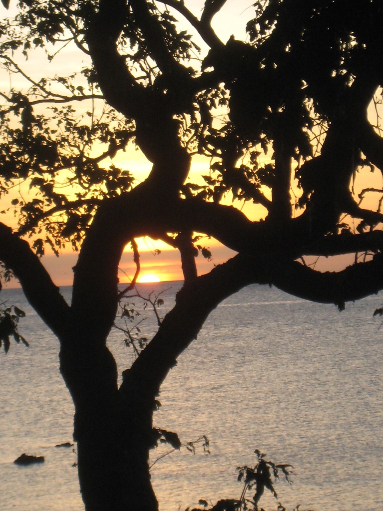 Chris & John's Travel Log: TO THE TIP OF CAPE YORK