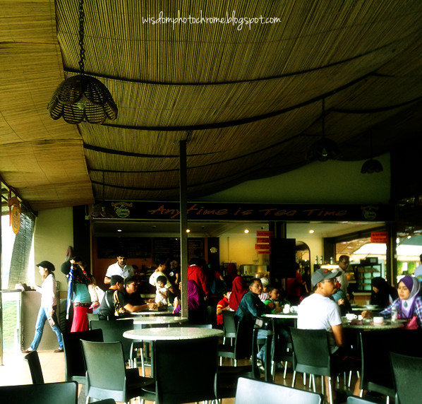 Wisdom Photochrome: Bharat Tea Plantation (Cameron Valley) @ Cameron ...