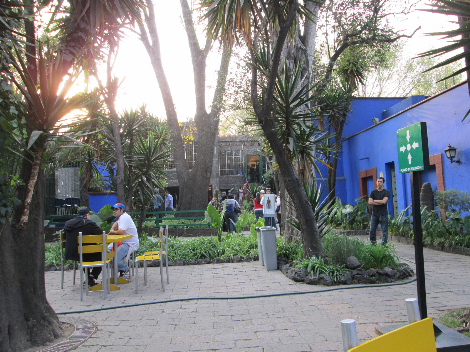 Jake, the Roving Librarian