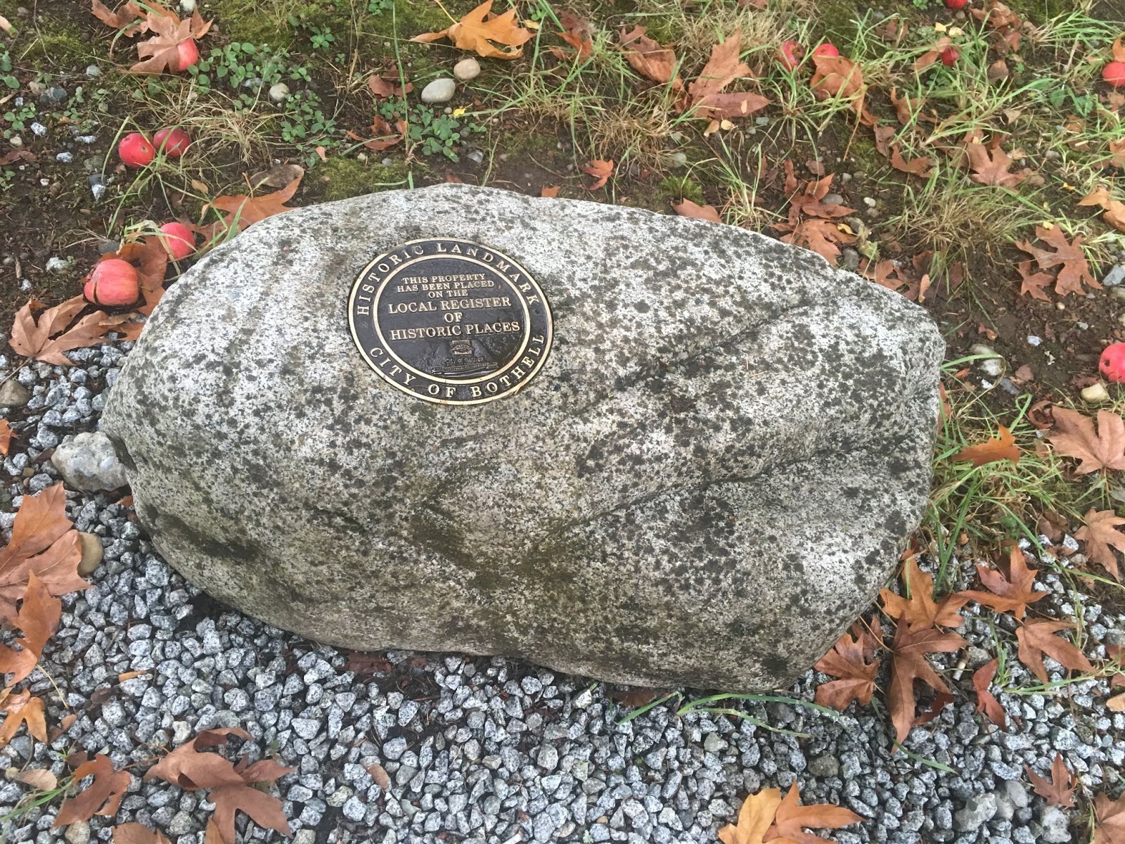 Heroes, Heroines, and History: SWEDISH CEMETERY 1893