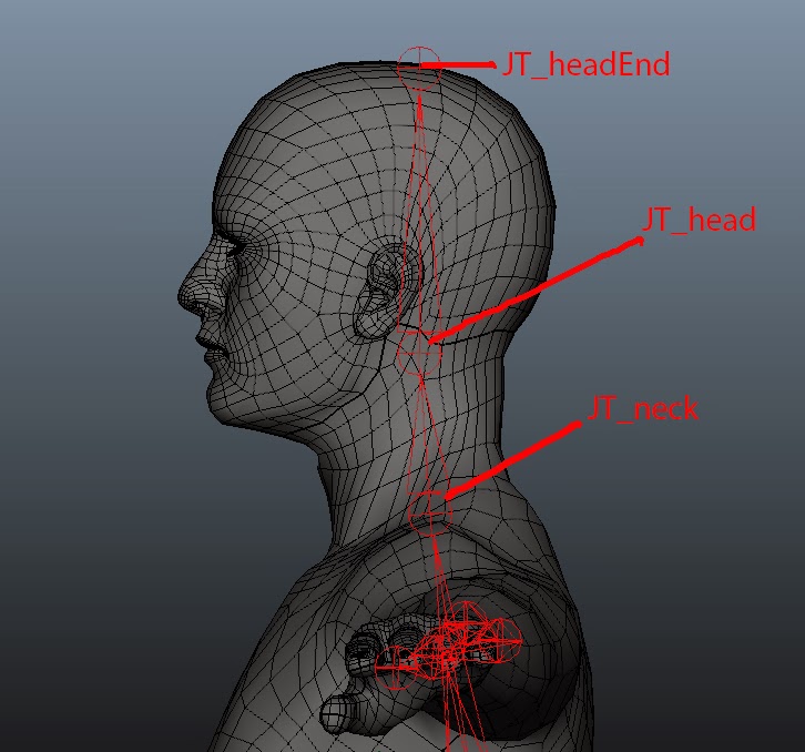 3D Character Rigging: Joint placement reference