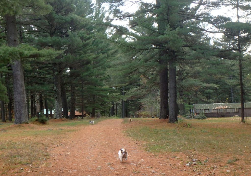 Windswept Adventure: Adventure To Debar Pond Lodge - Part 1