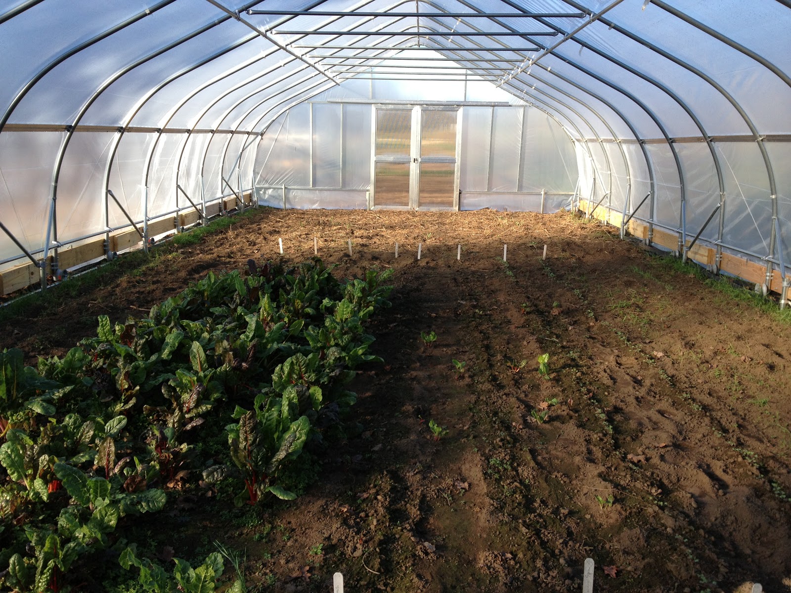 EcoHouse at Spring Valley Student Farm: Emergency Update