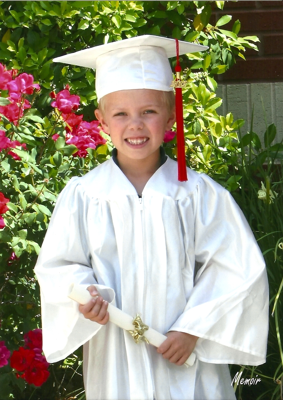 Chasing Roots: Kindergarten Gradua...What?!