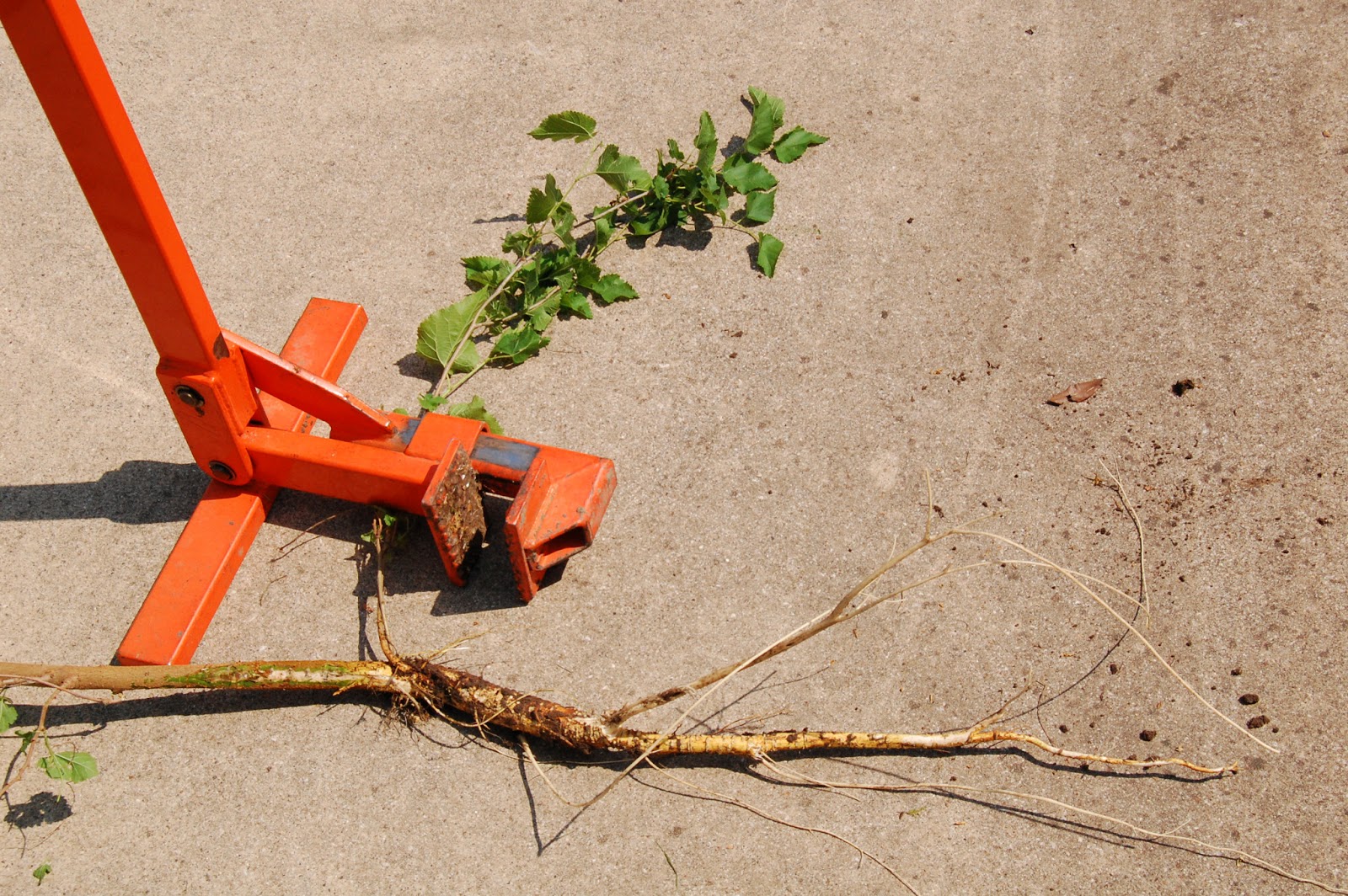 Eclectic Design Choices - Designs for Your Life: Garden Tool Review ...