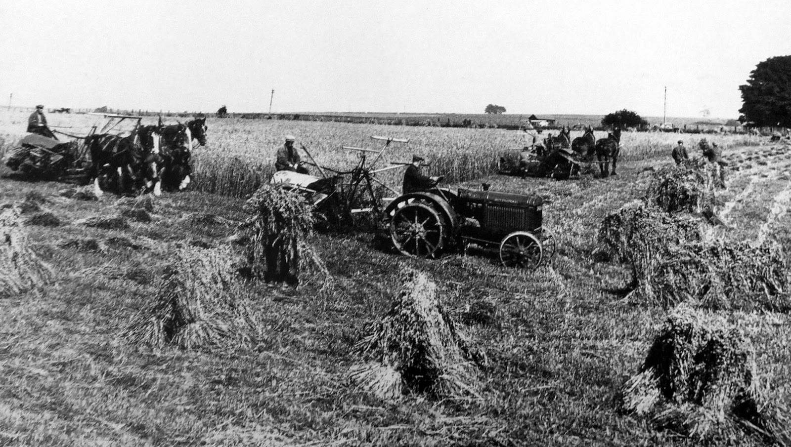 Tour Scotland: Old Photograph Farmers Harvesting Kirriemuir Scotland