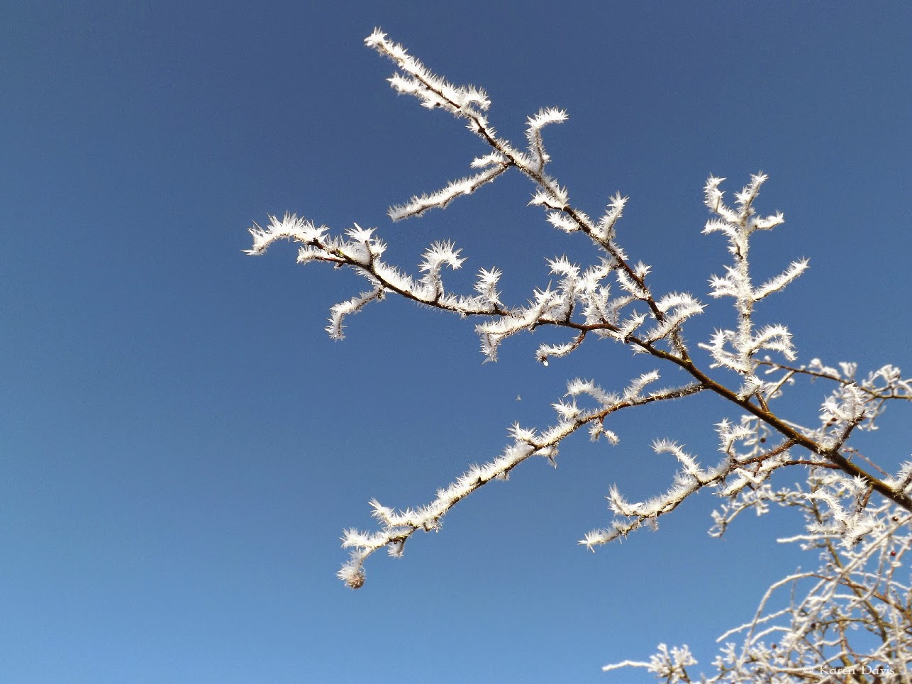 Moonlight and Hares: Ring out wild bells to the wild sky