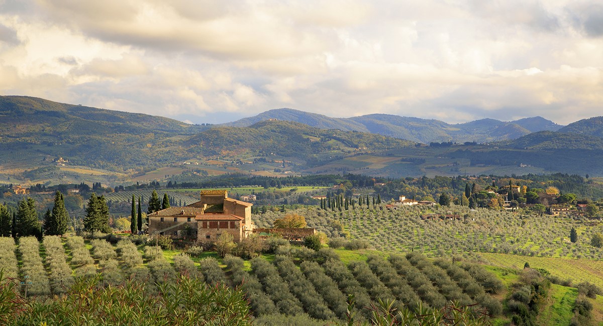 New Tuscan Experience Testimonials: Tuscany in November