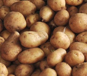 Cara Budidaya Tanaman Kentang - Tips Sukses Berkebun