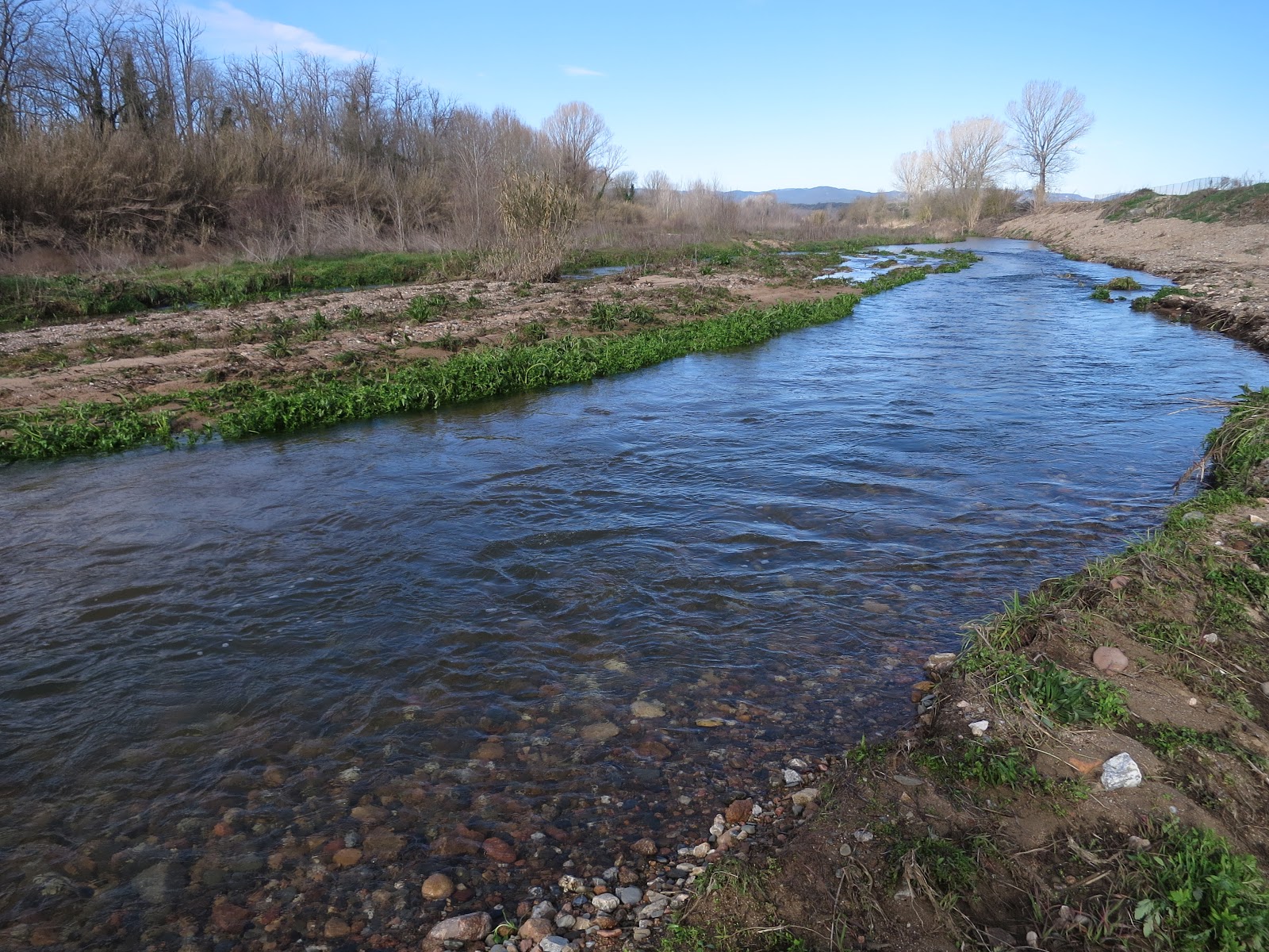 La Natura a la Baixa Tordera: Riu Tordera a l'alçada de La Júlia ...