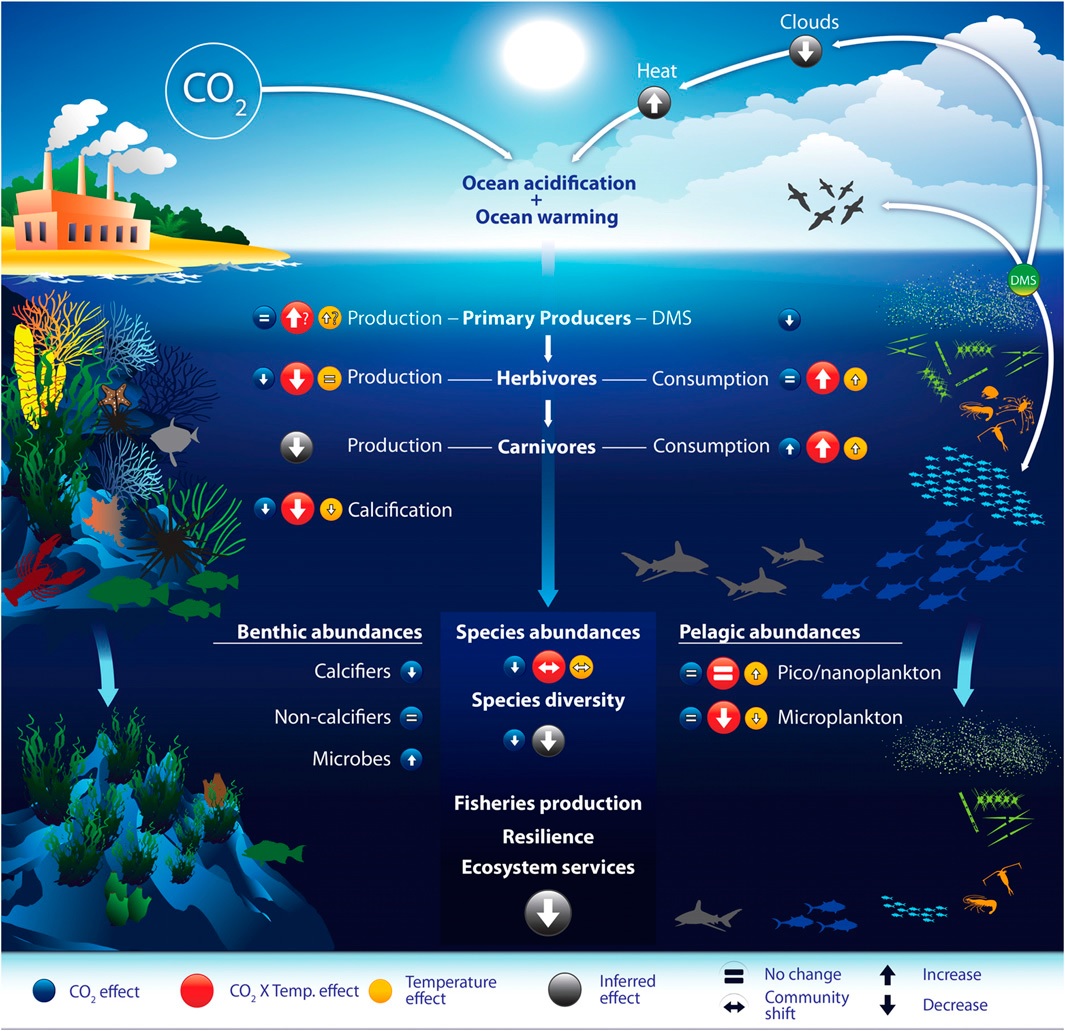 Environmental Chemistry Blog 2015: Marine food chains at risk of ...