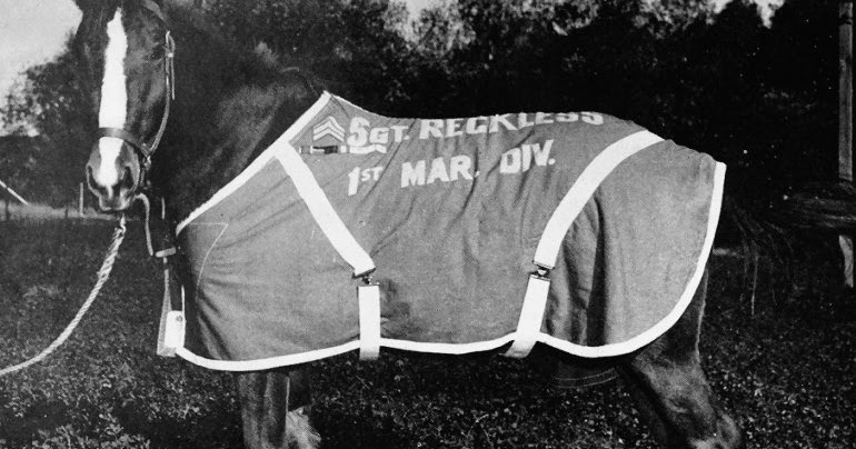 Delta's D&D Hotspot: Staff Sergeant Reckless
