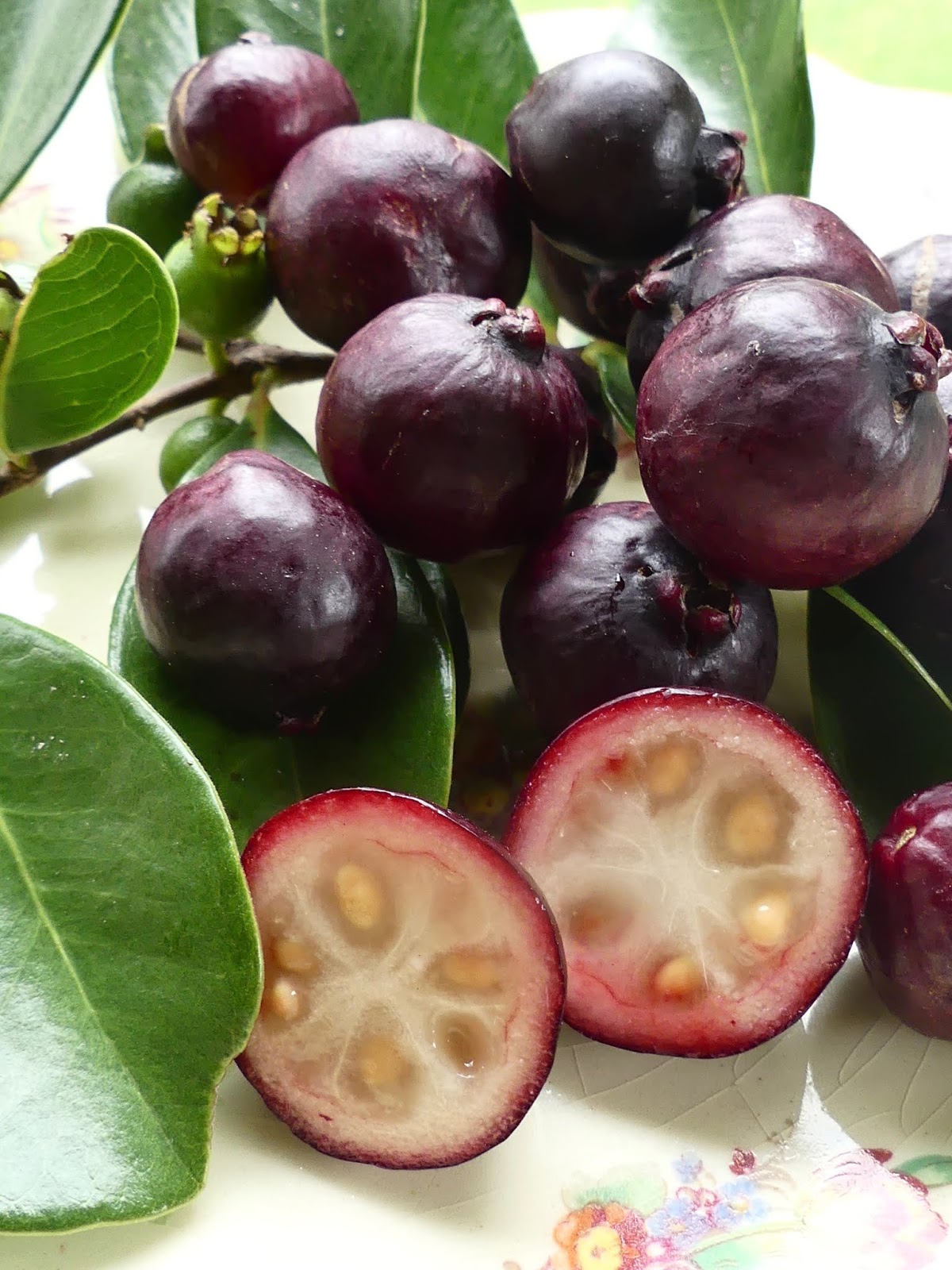 An angel in the kitchen: Using Guavas: Jelly and Paste