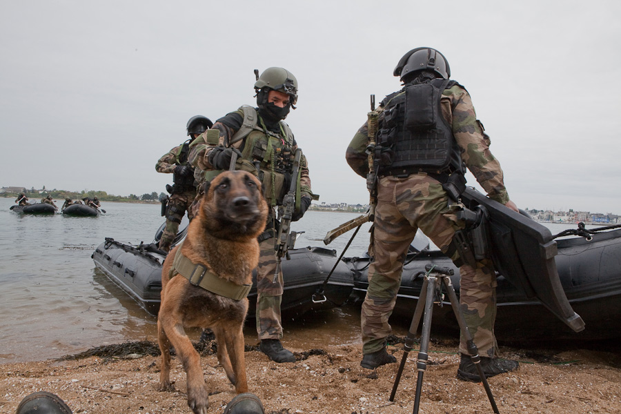 Coronel Von Rohaut: Perros en la guerra
