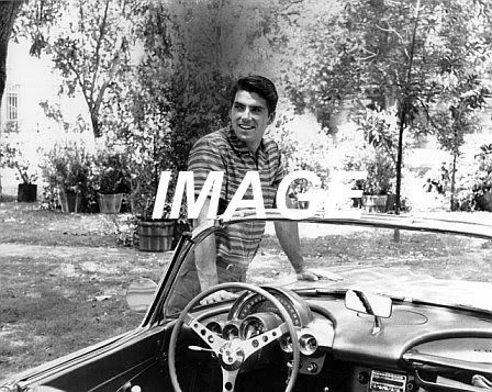 EL EDÉN SIDERAL: Beautiful Wonder Boys Retro: Van Williams (Parte I)